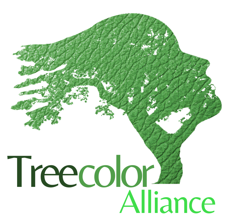 Socios - Treecolor Alliance